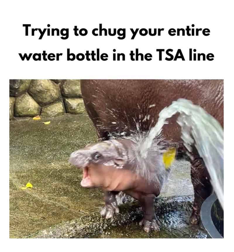 tsa memes-1-9-30-2024 - Thunder Dungeon | The Funniest Memes. Period.