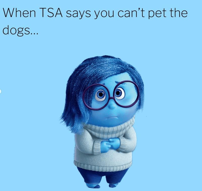 tsa memes-15-9-30-2024 - Thunder Dungeon | The Funniest Memes. Period.