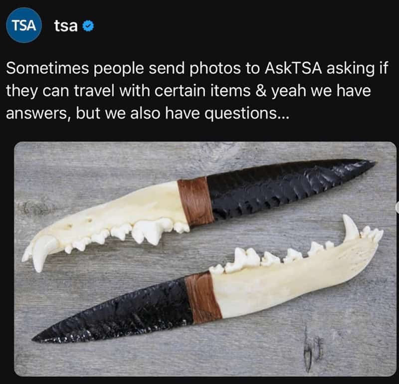 tsa memes-2-9-30-2024 - Thunder Dungeon | The Funniest Memes. Period.