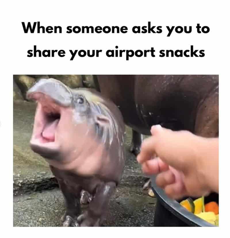 tsa memes-23-9-30-2024 - Thunder Dungeon | The Funniest Memes. Period.