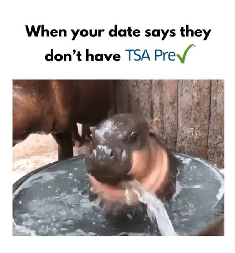 tsa memes-8-9-30-2024 - Thunder Dungeon | The Funniest Memes. Period.