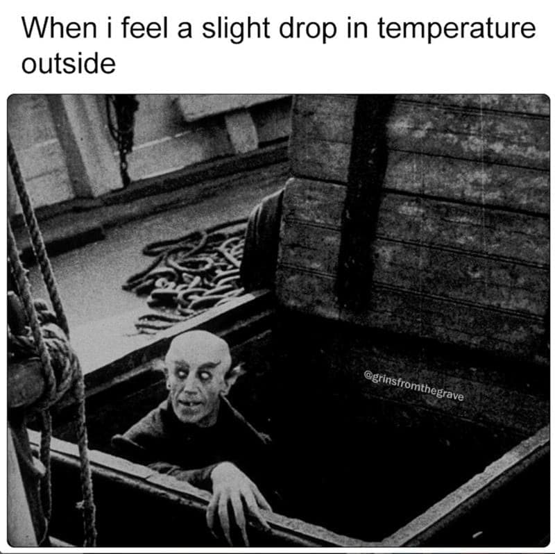 vampire memes-17-20241030 - Thunder Dungeon | The Funniest Memes. Period.