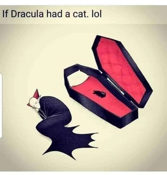Vampire Memes: 30 Fangy Memes for Spooky Halloween Vibes