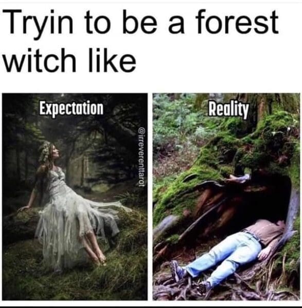 Witch Memes: 35 Memes for Witchy Vibes This Halloween