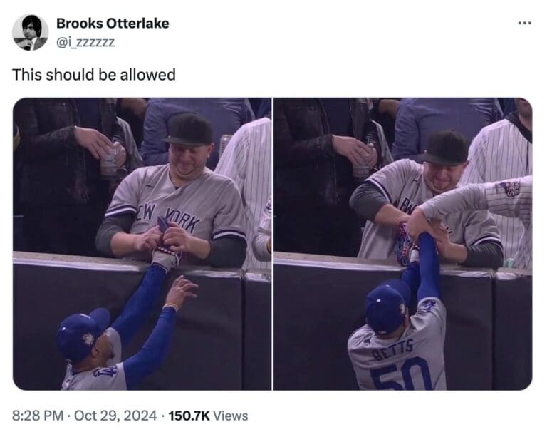 Yankees Fan Interference Memes: Internet Reacts to Bronx Bedlam