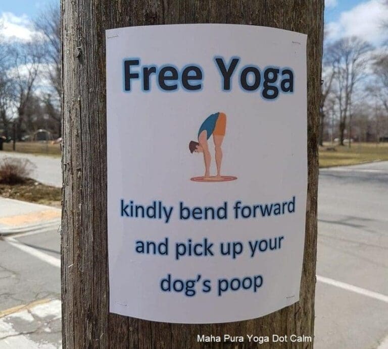 Yoga Memes: 25 Funny Memes Every Yoga Lover Will Relate To