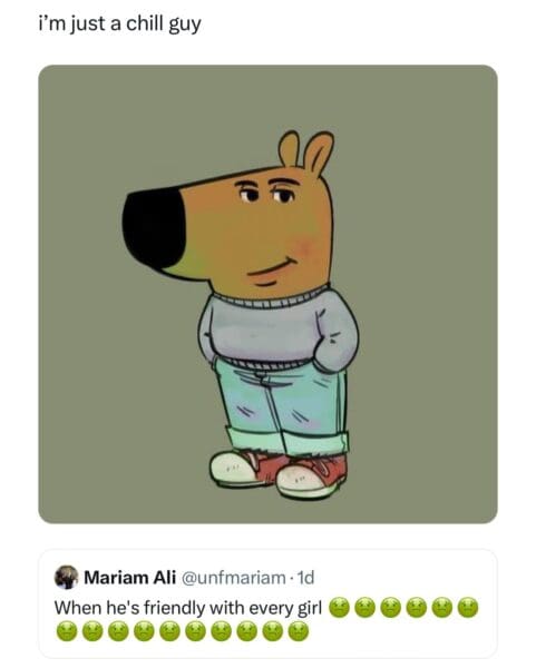 Im Just a Chill Guy Memes: 20 Hits of the New Trend