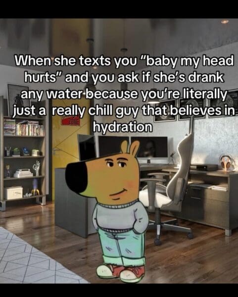 Im Just a Chill Guy Memes: 20 Hits of the New Trend