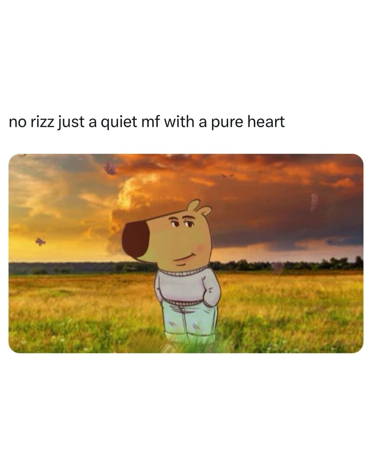 Im Just a Chill Guy Memes: 20 Hits of the New Trend