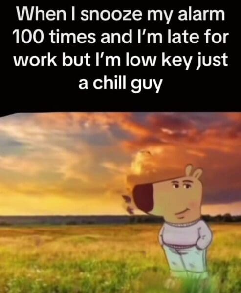 Im Just a Chill Guy Memes: 20 Hits of the New Trend