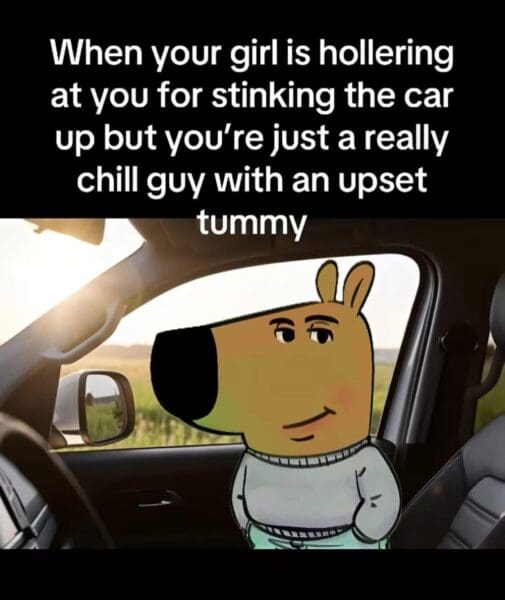 Im Just a Chill Guy Memes: 20 Hits of the New Trend