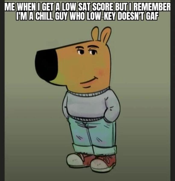 Im Just a Chill Guy Memes: 20 Hits of the New Trend