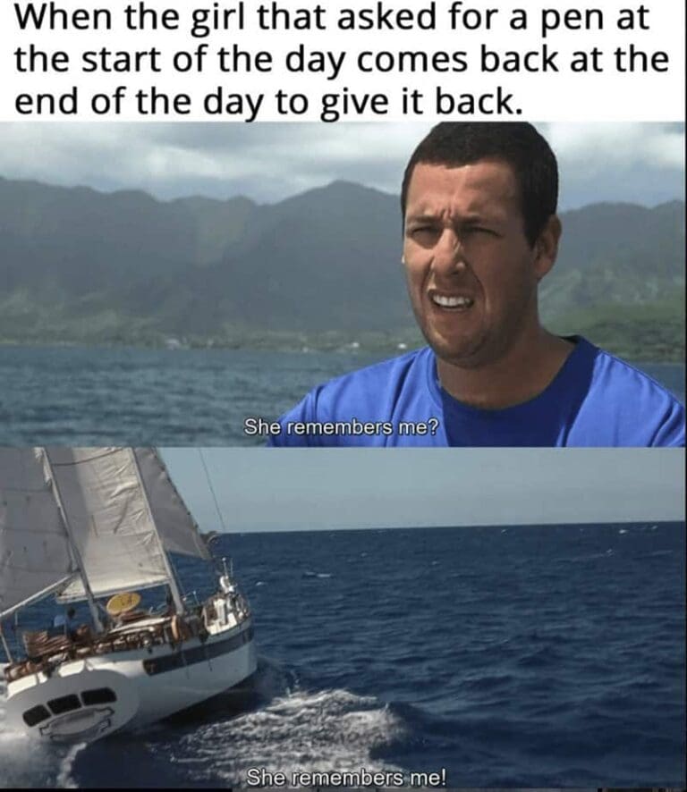 Adam Sandler Memes: 40 Nostalgic Sandler Movie Memes