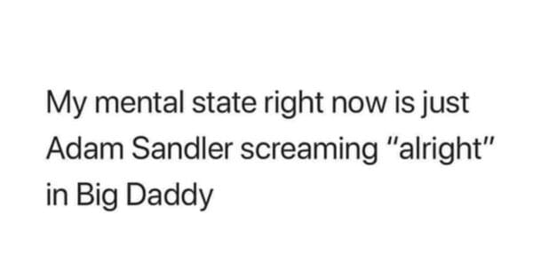 Adam Sandler Memes: 40 Nostalgic Sandler Movie Memes