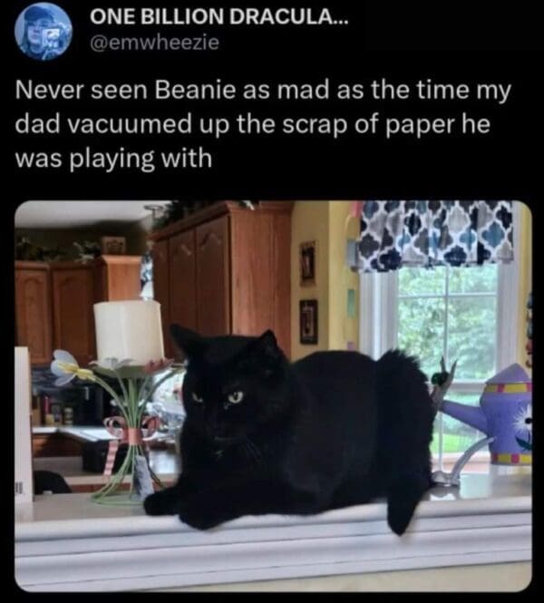 Classic Memes: 25 Older Memes That Never Lose Their Charm