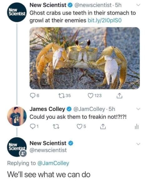 Crab Memes: 40 Hilariously Weird Gems About CRABS