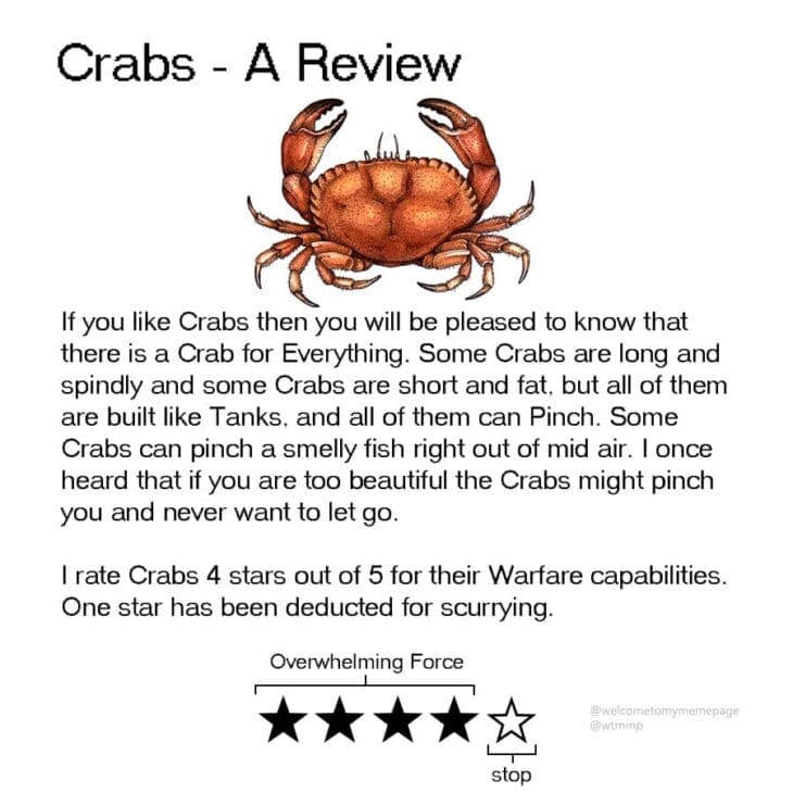 Crab Memes: 40 Hilariously Weird Gems About CRABS