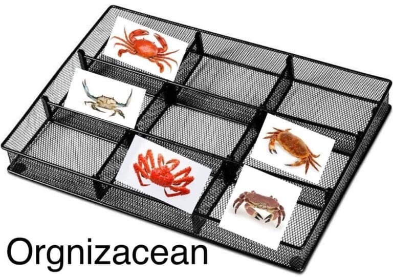 Crab Memes: 40 Hilariously Weird Gems About CRABS