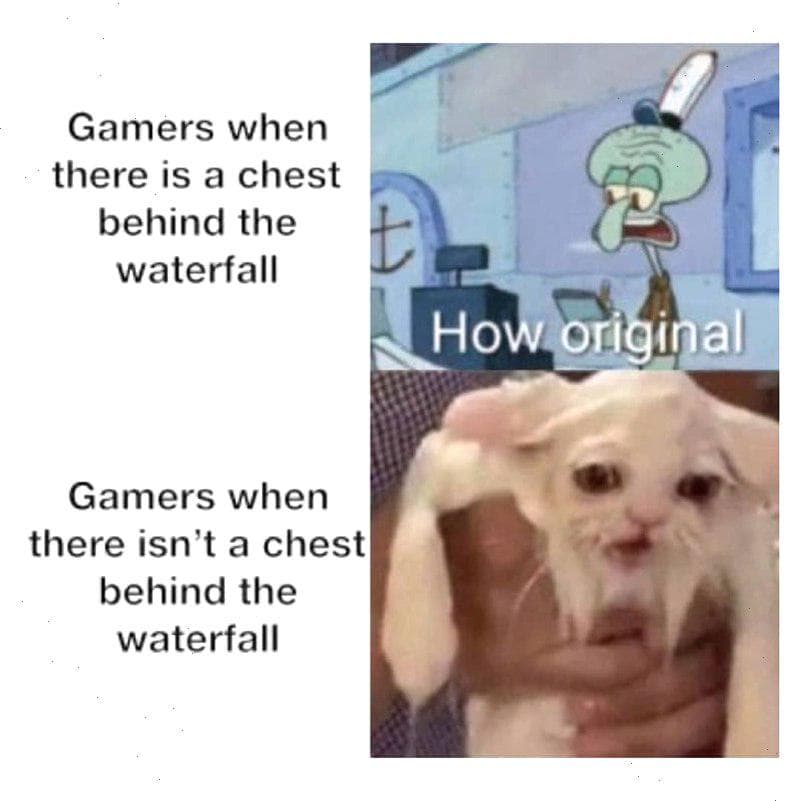 gamer memes-4-20241128 - Thunder Dungeon | The Funniest Memes. Period.