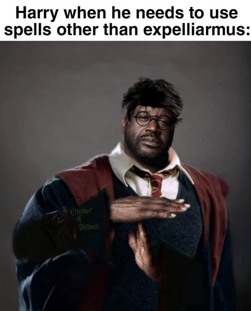 harry potter memes-2-20241114 - Thunder Dungeon | The Funniest Memes. Period.
