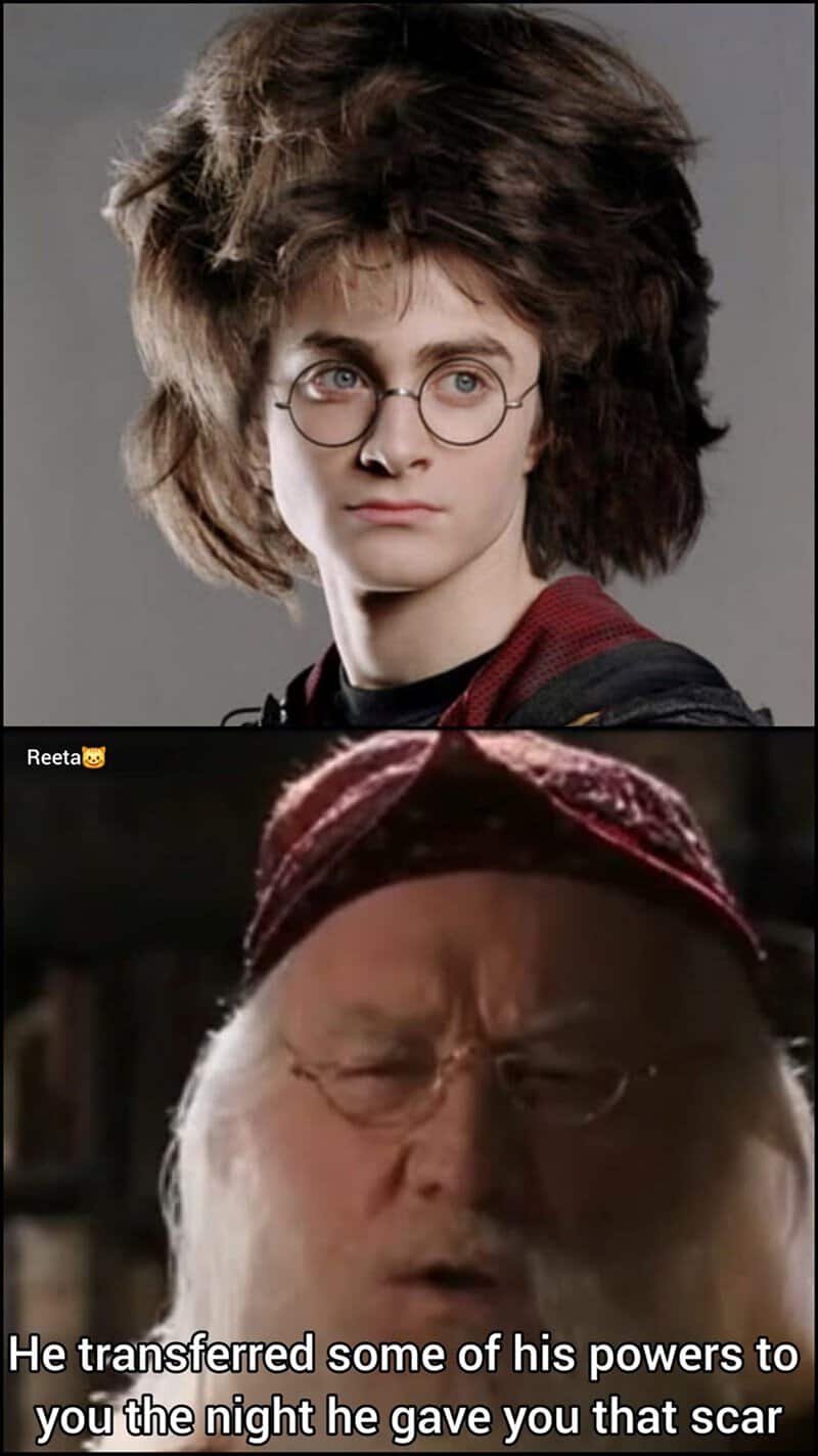 harry potter memes-29-20241114 - Thunder Dungeon | The Funniest Memes. Period.