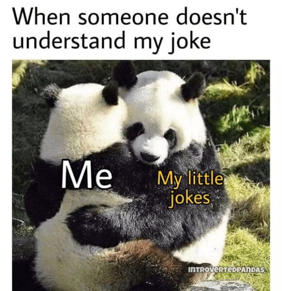38 Hilarious Panda Memes Perfect for Introverts Everywhere
