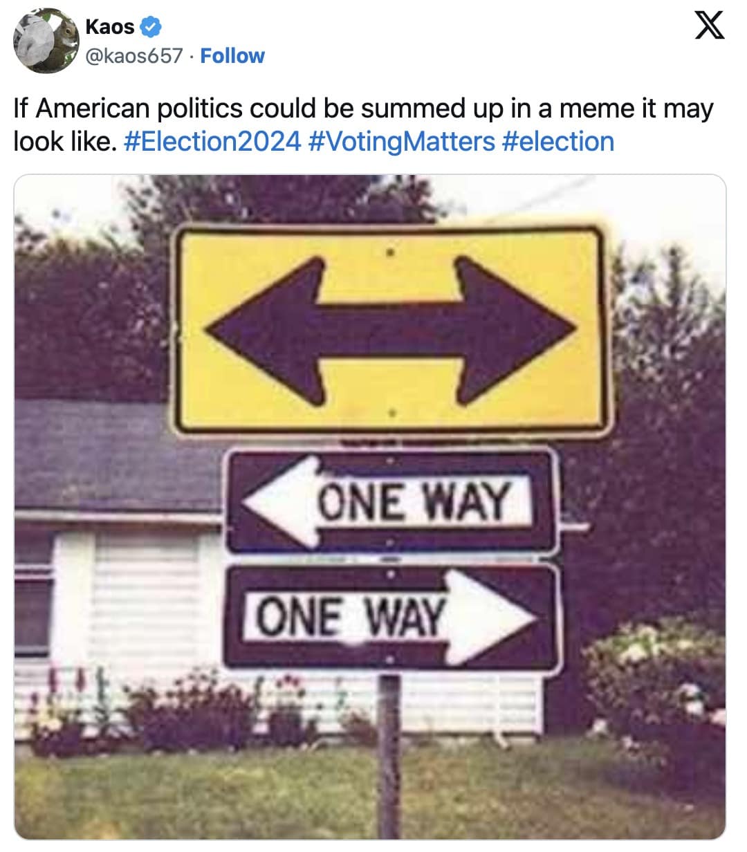 presidential election memes-21-20241106 - Thunder Dungeon | The ...