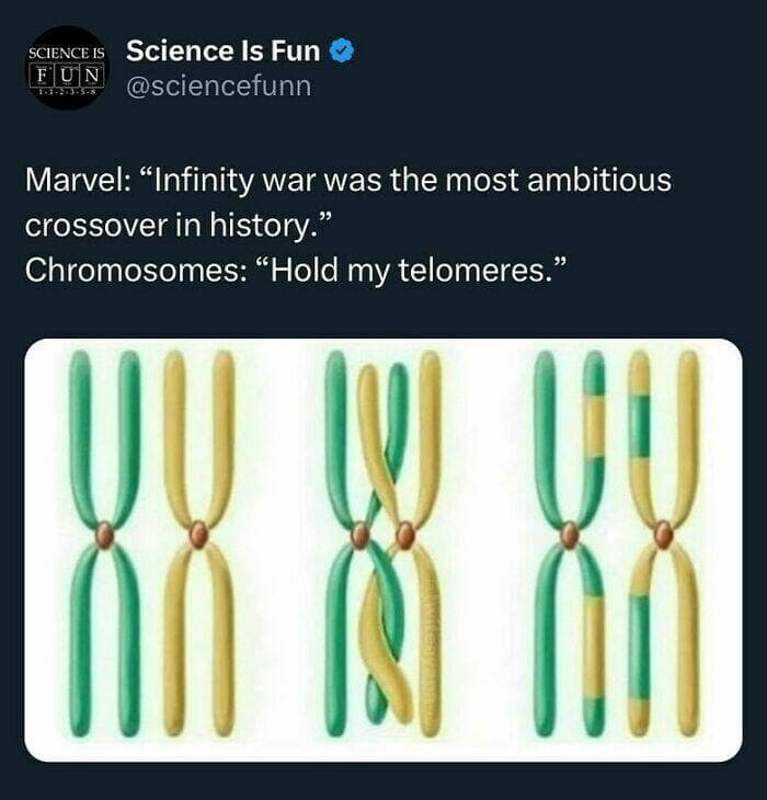 science memes-15-20241121 - Thunder Dungeon | The Funniest Memes. Period.