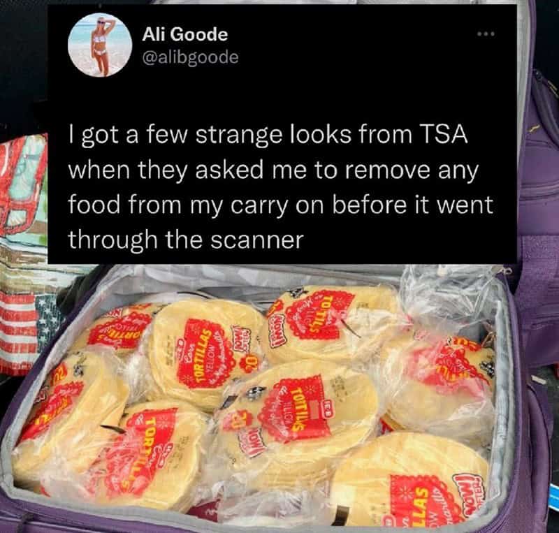 tsa memes-11-11-28-2024 - Thunder Dungeon | The Funniest Memes. Period.