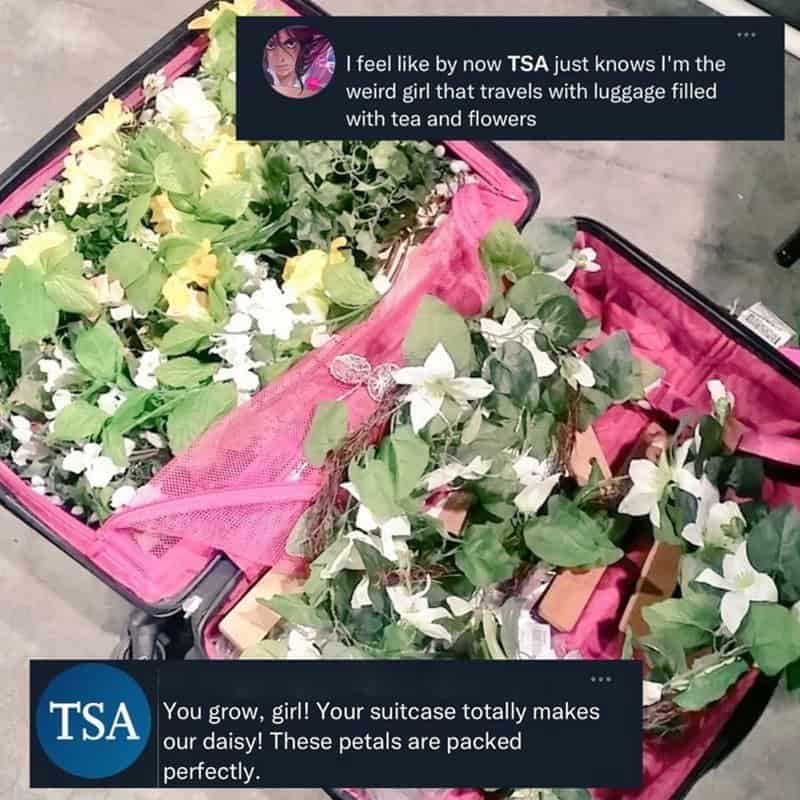 tsa memes-13-11-28-2024 - Thunder Dungeon | The Funniest Memes. Period.