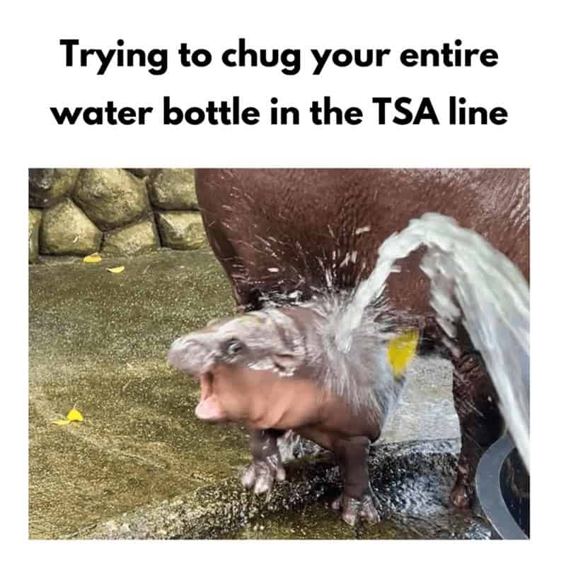 tsa memes-16-11-28-2024 - Thunder Dungeon | The Funniest Memes. Period.