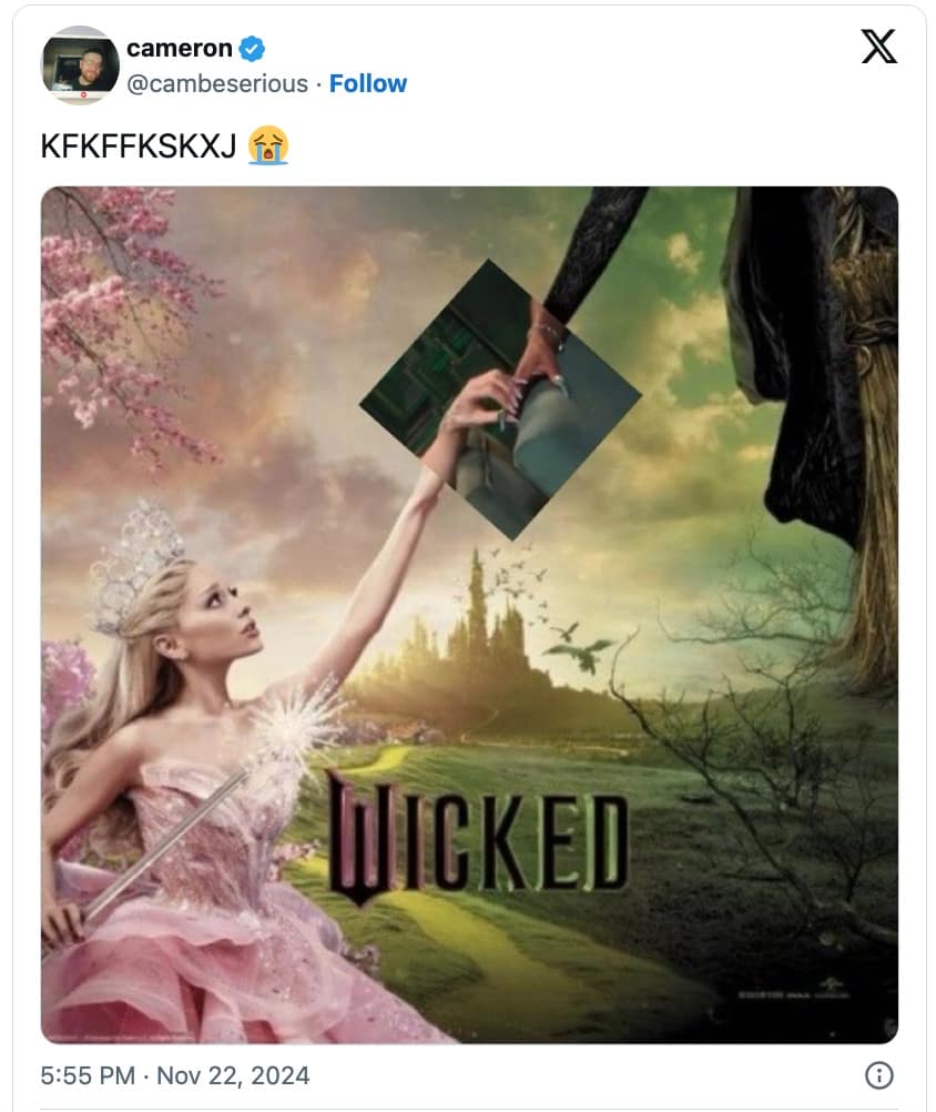 wicked movie memes-32-20241125 - Thunder Dungeon | The Funniest Memes ...