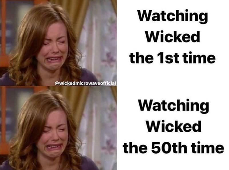 wicked movie memes-42-20241125 - Thunder Dungeon | The Funniest Memes ...