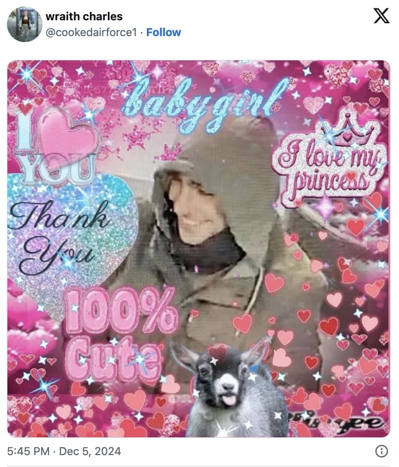 UHC CEO shooter memes-5-20241206 - Thunder Dungeon | The Funniest Memes ...