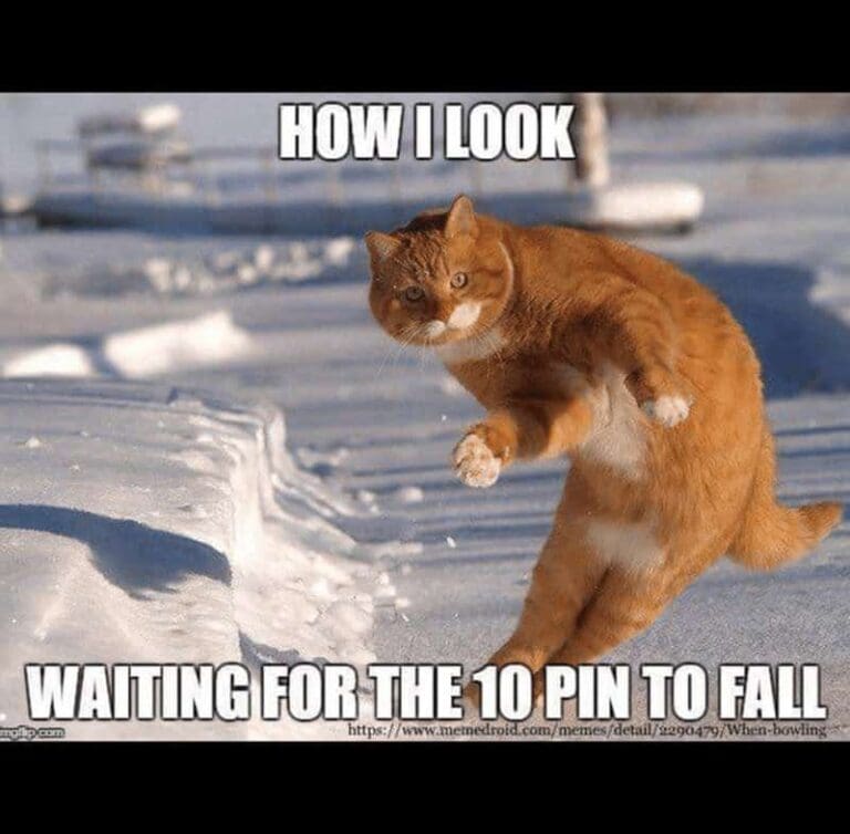 Bowling Memes: 35 Memes to Spare You the Seriousness
