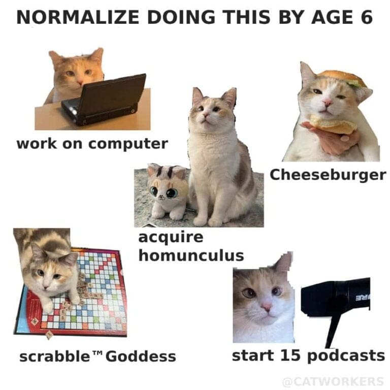 Cat Memes: 29 Cats Working Hard At Their Jobs