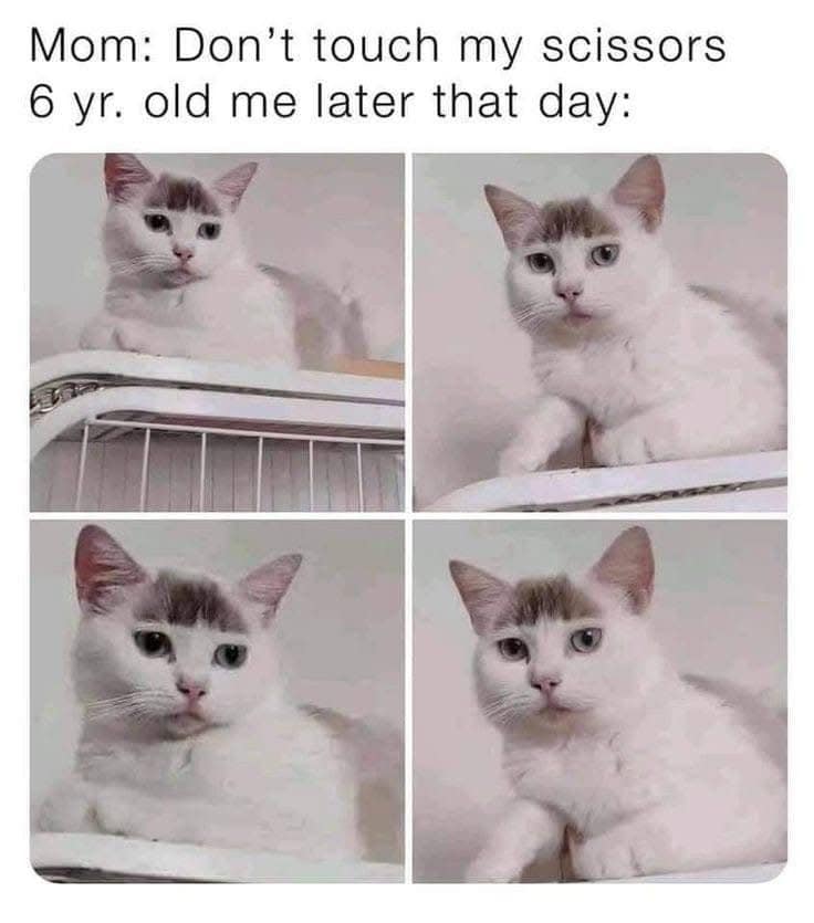 classic memes-6-20241217 - Thunder Dungeon | The Funniest Memes. Period.