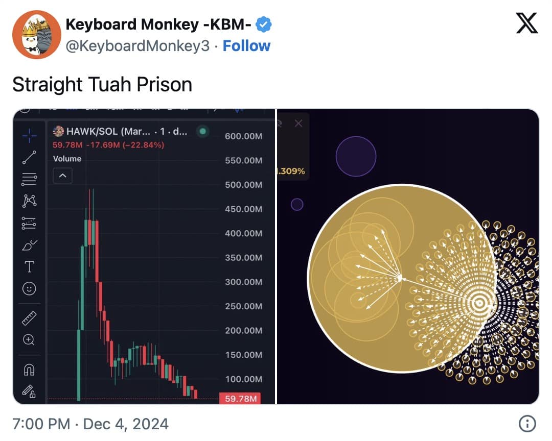 hawk tuah coin memes-11-20241205 - Thunder Dungeon | The Funniest Memes ...