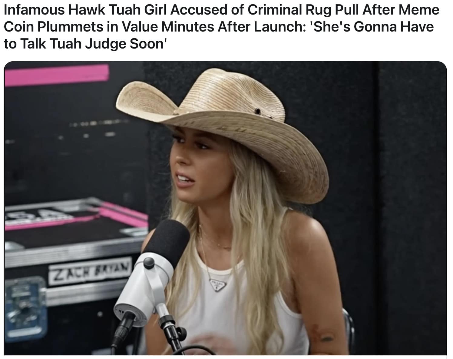 hawk tuah coin memes-5-20241205 - Thunder Dungeon | The Funniest Memes ...