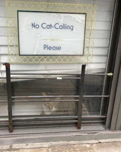 33 Hilarious New York Memes From A City That Never Sleeps (Or Cares)