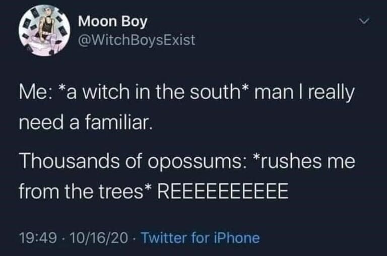 34 Hilarious Rfk Jr. Memes That Might Have Their Own Brain Worm