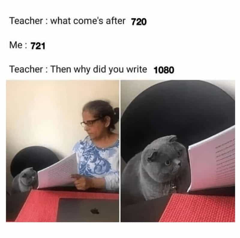 tech memes-19-12-20-2024 - Thunder Dungeon | The Funniest Memes. Period.