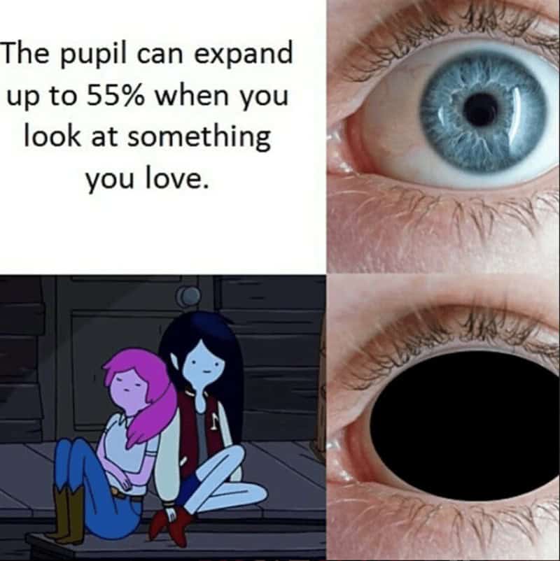 adventure time memes-40-1-24-2025 - Thunder Dungeon | The Funniest Memes. Period.