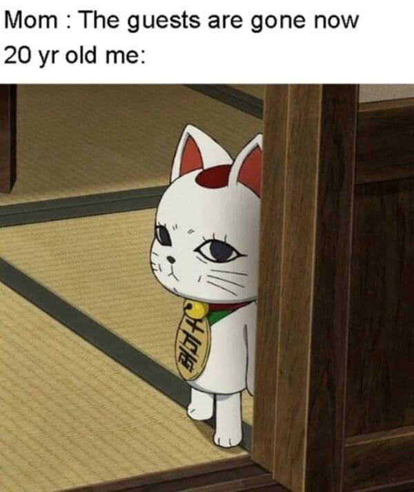 Anime Memes: 40 Gems Full of Subs and Dubs