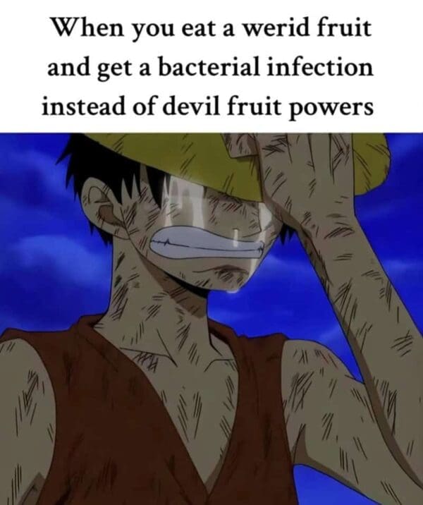 Anime Memes: 40 Gems Full of Subs and Dubs