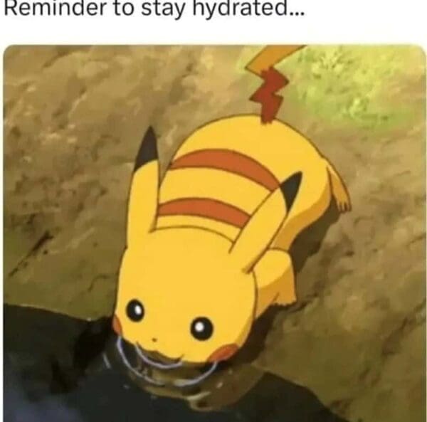 Anime Memes: 40 Gems Full of Subs and Dubs