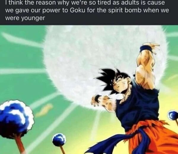 Anime Memes: 40 Gems Full of Subs and Dubs