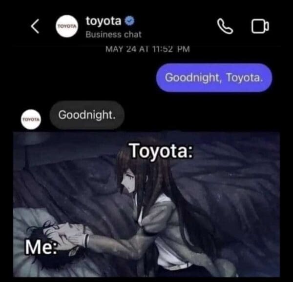 Anime Memes: 40 Gems Full of Subs and Dubs