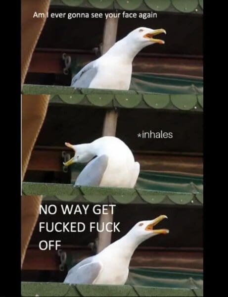 35 Times Aussie Memes Made Us Laugh (and Crave Vegemite)