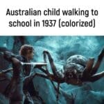 35 Times Aussie Memes Made Us Laugh (and Crave Vegemite)